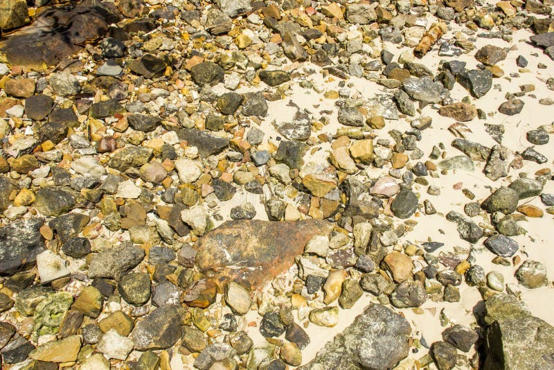 Pebbles on the ground stock image. Image of close, beach - 53562281