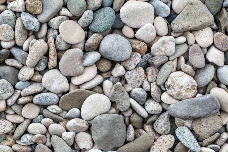 Pebbles, Large Round Beach Sea Stones, Close-up, Top View Stock Photo ...