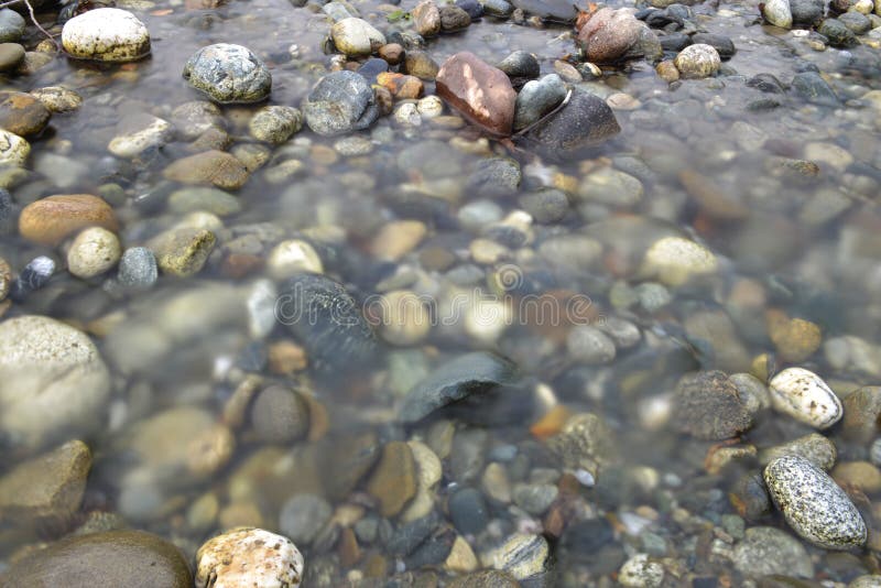 Pebbles in the Mountain River Stock Photo - Image of nature, timber ...