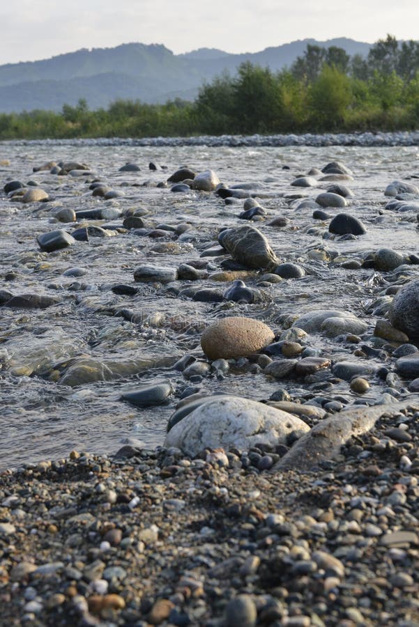 Pebbles in the Mountain River Stock Photo - Image of vegetation ...