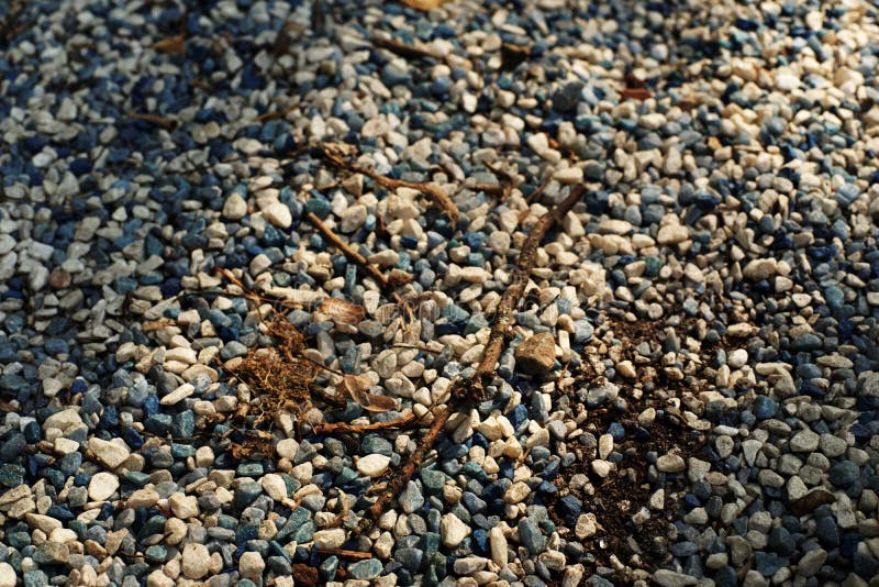 Pebbles and natural debris stock image. Image of grey - 78645555