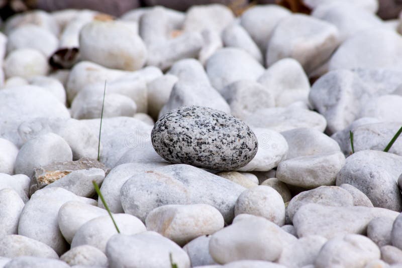Pebbles in the park. stock photo. Image of pebbles, rough - 125873152