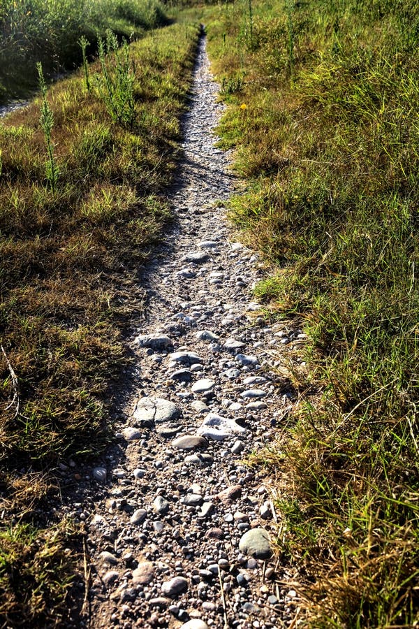 Pebbles on a Path at Sunset Seen Up Close Stock Image - Image of ...