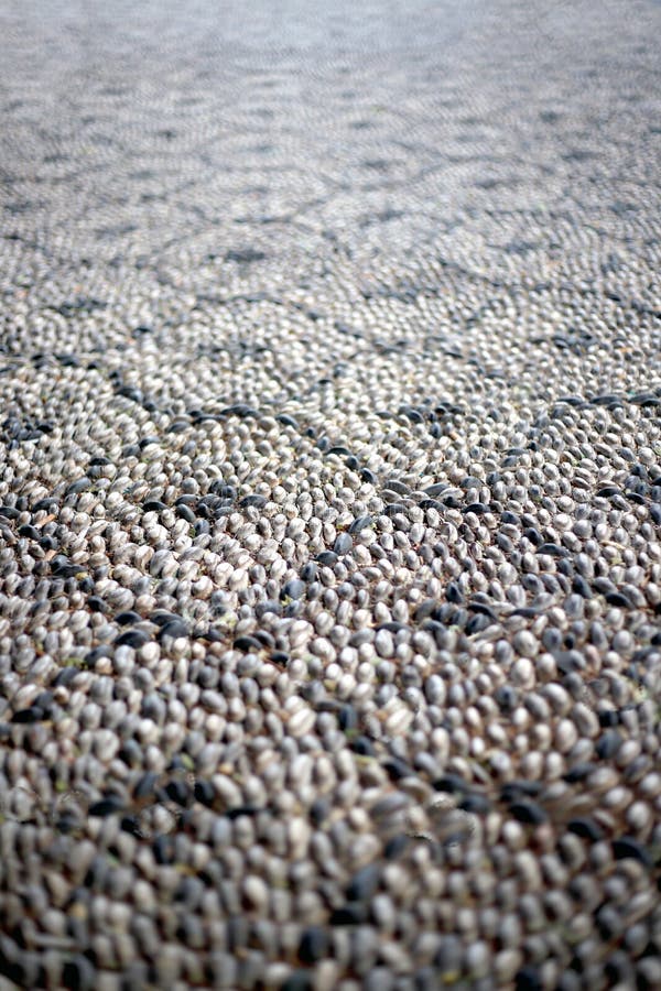 Pebbles stock photo. Image of summer, rhodes, classical - 66080222