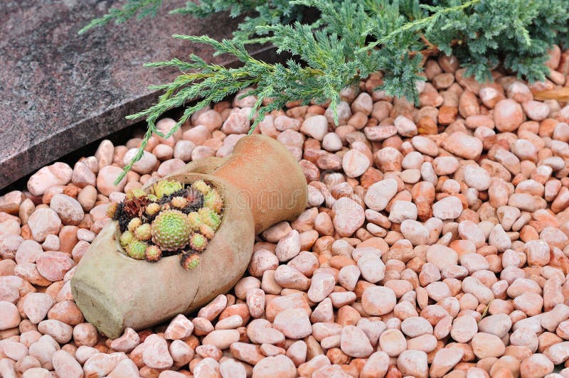 Pebbles and Plants in Rockery Stock Photo - Image of flower ...