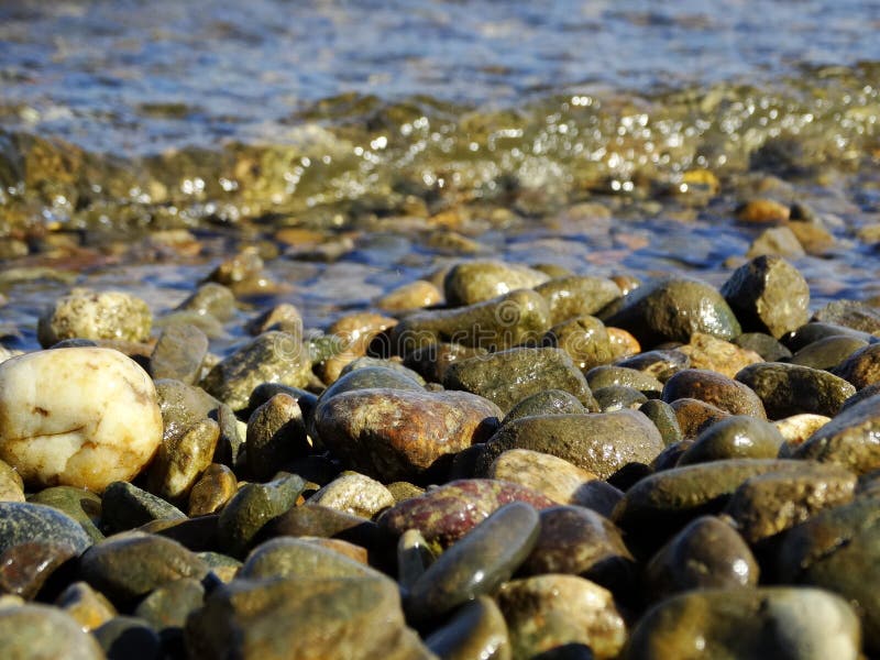 Pebbles on the river Bank stock image. Image of nature - 129673871