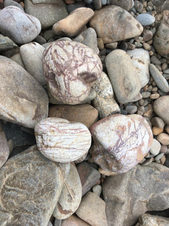 The pebbles on the river stock photo. Image of asphalt - 276064466