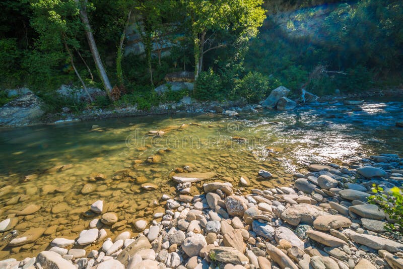Pebbles on the riverbed stock image. Image of trees, cool - 97902679