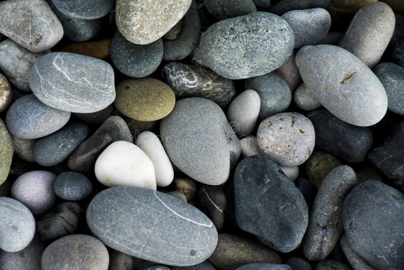 The Pebbles Rocks on the Beach Stock Photo - Image of life, holiday ...