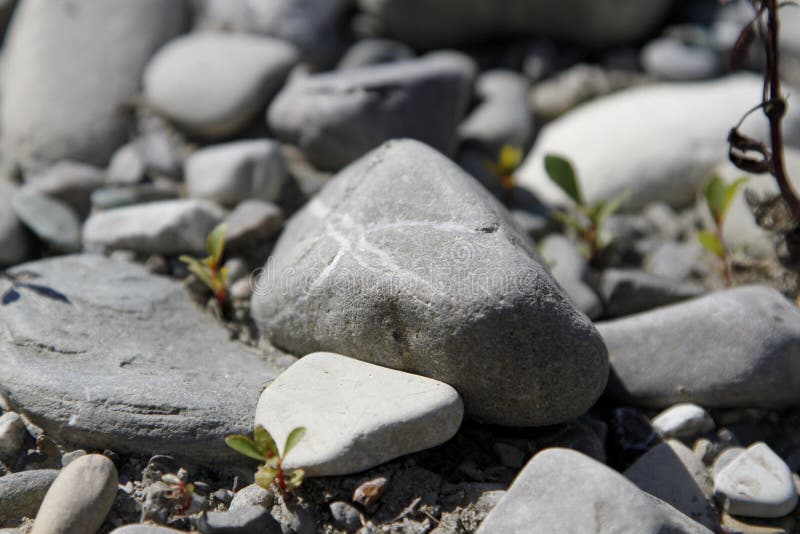 Pebbles and Rocks in a River Bed with Rounded Pebbles Stock Image ...
