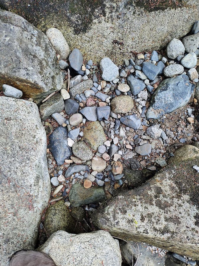Pebbles in sand stock photo. Image of pebbles, rock - 229958846
