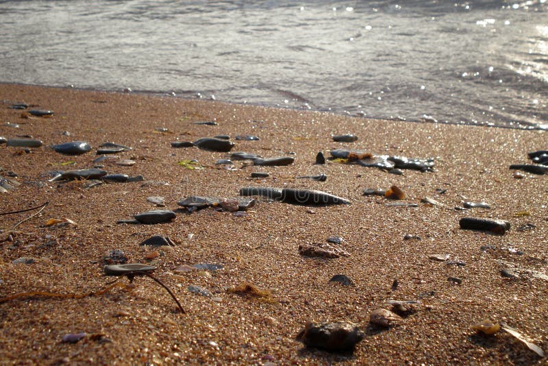 Pebbles in the Sand on the Beach Stock Photo - Image of pebbles ...