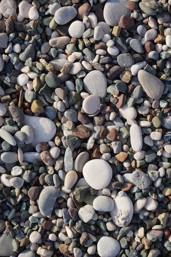 Pebbles on a seabed stock image. Image of clear, background - 121885045