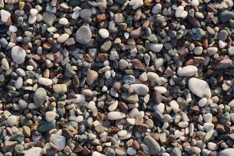 Pebbles on a seabed stock image. Image of summer, seabed - 121885079