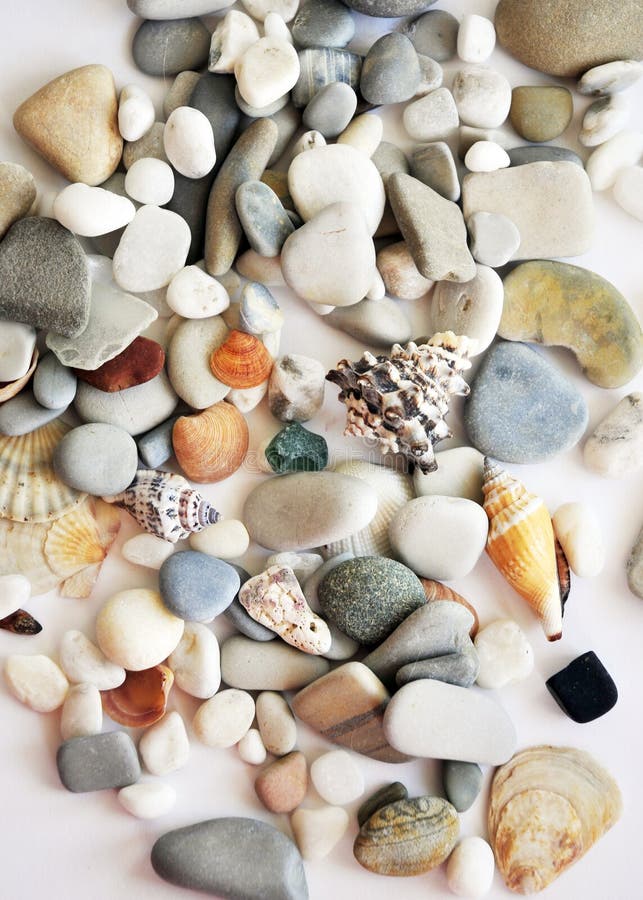 Sea Stones and Sea Shells on the White Background Stock Image - Image ...