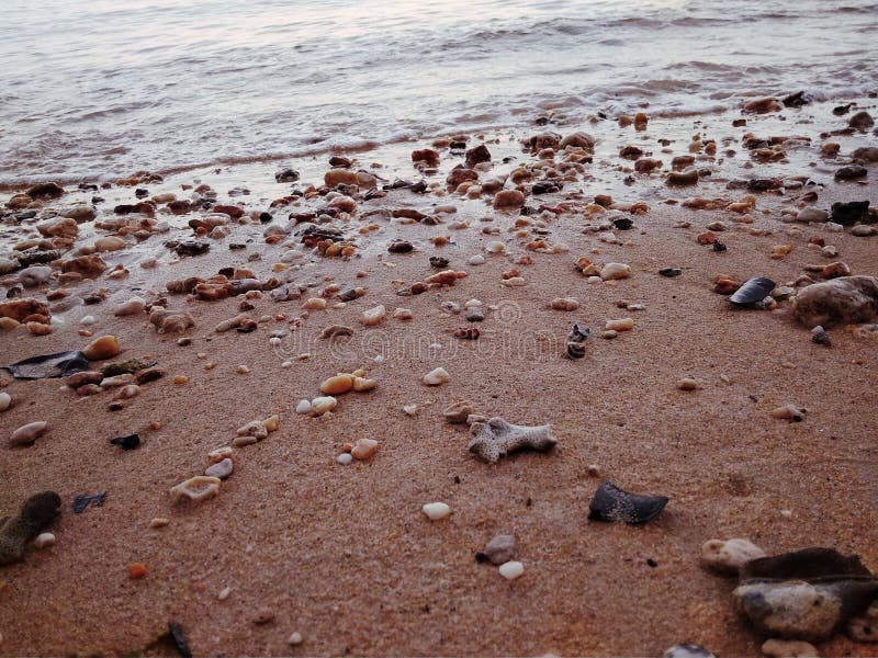 Reflective Slightly Rippled Water Stock Photos - Free & Royalty-Free ...