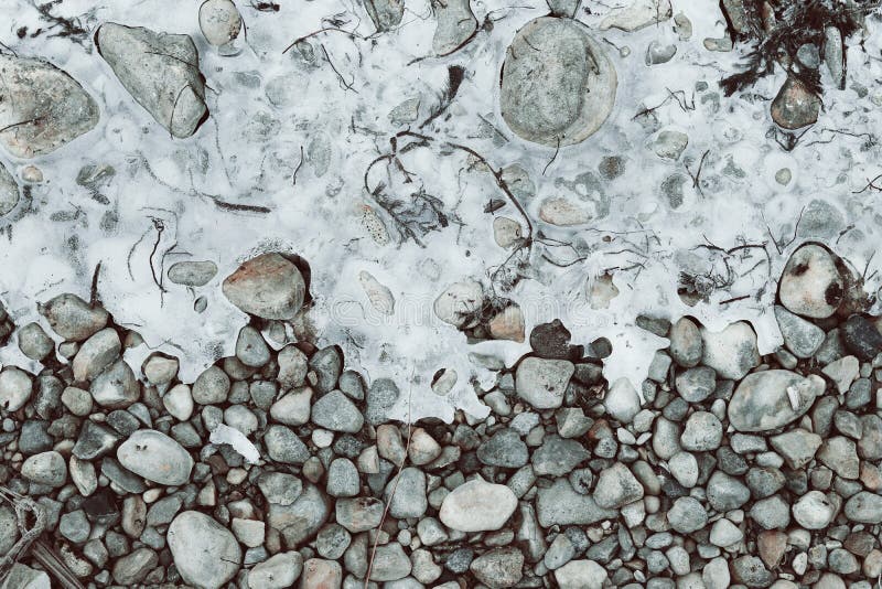 Pebbles and Shells Under Frozen Water. Winter Natural Background Stock ...