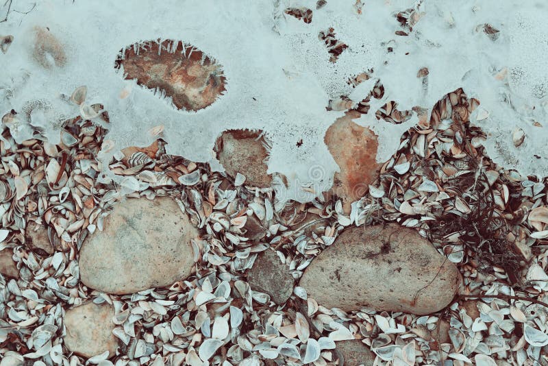 Pebbles Frozen in a Lake in National Park Lobau Stock Image - Image of ...