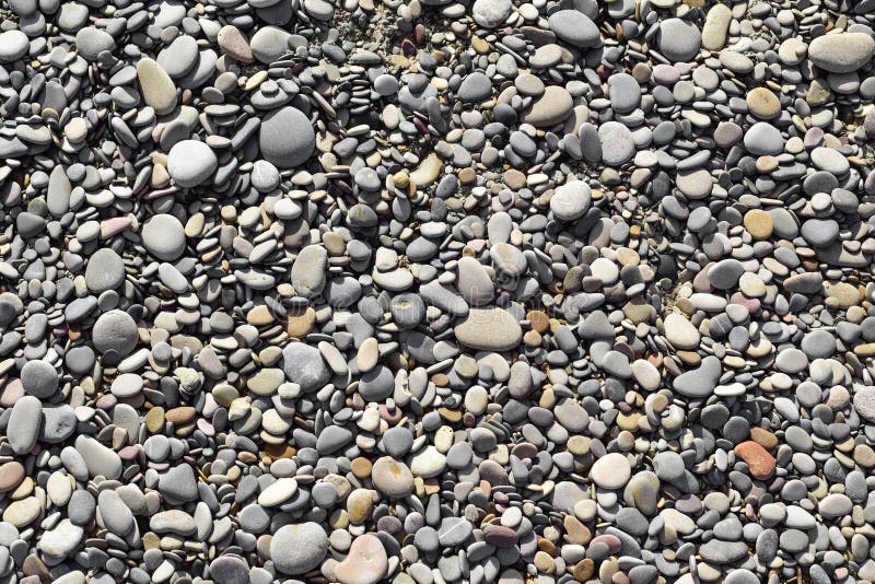 Pebbles on a shingle beach stock photo. Image of rock - 136285230