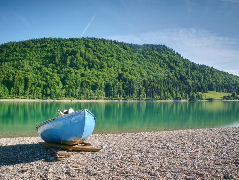 Pebbles Shore of Beautiful German Lake Stock Image - Image of forest ...