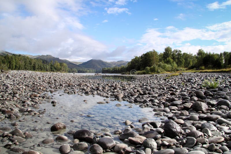 Pebbles on the Shore of a River Stock Image - Image of needles, cloud ...