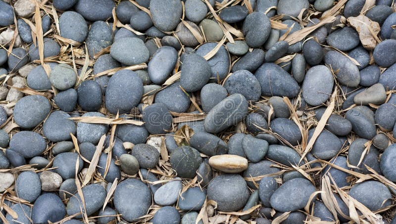 Pebbles and stones stock photo. Image of texture, geology - 14048554