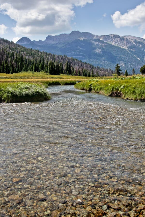 Pebbles in a stream stock photo. Image of current, bridger - 3063336