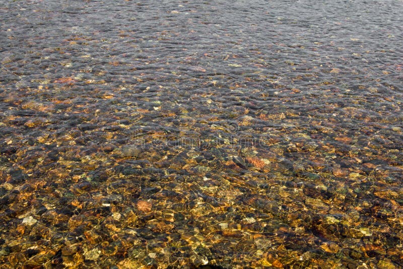 Pebbles in the Stream stock photo. Image of brook, forest - 35609584