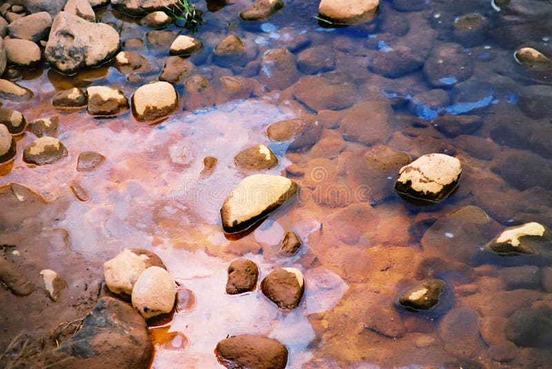 Pebbles in the Stream stock photo. Image of brook, forest - 35609584