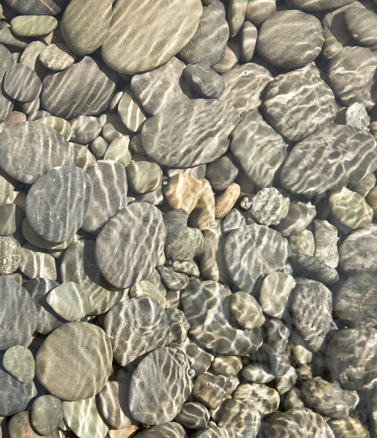 Pebbles in the Stream stock photo. Image of brook, forest - 35609584