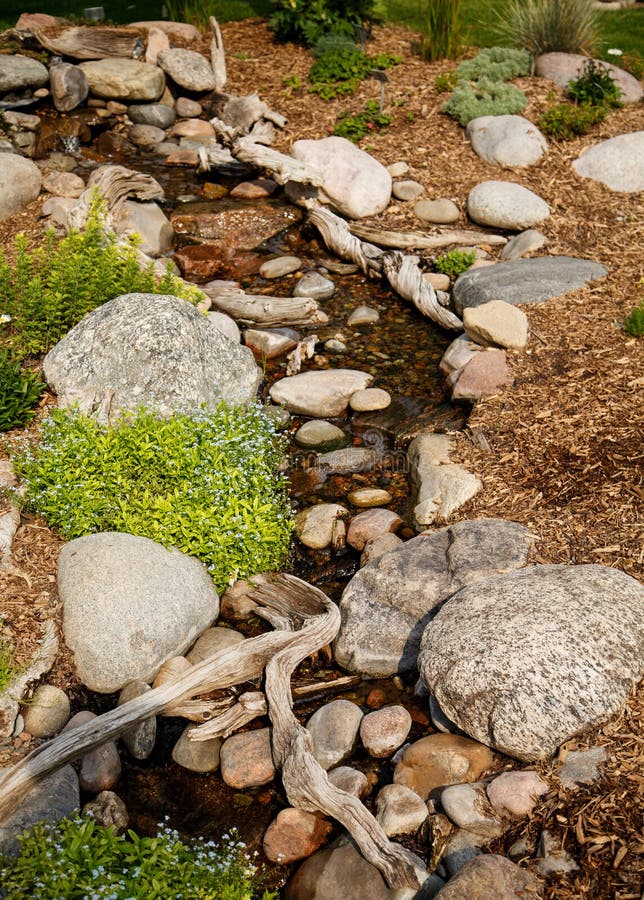 Pebbles in the Stream stock photo. Image of brook, forest - 35609584