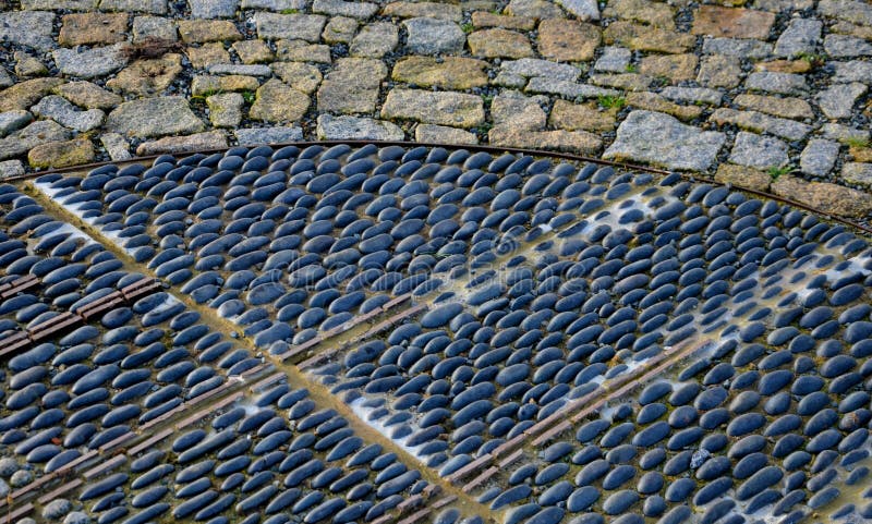 Letter V Jungle Animal Stock Photos - Free & Royalty-Free Stock Photos ...