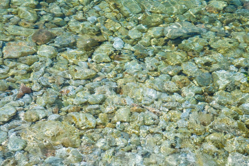 Pebbles under water stock image. Image of serene, outdoors - 6777935