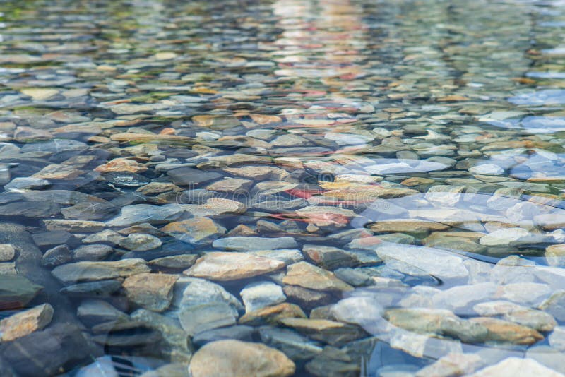 Pebbles Under Water with the Sun Reflected in Water Stock Photo - Image ...