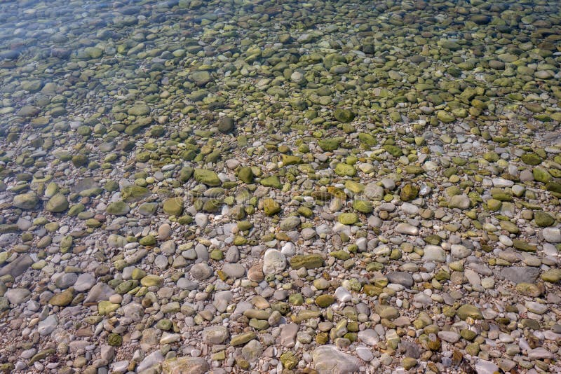 Pebbles Underwater with Algae on the Seabed. Stock Photo - Image of ...
