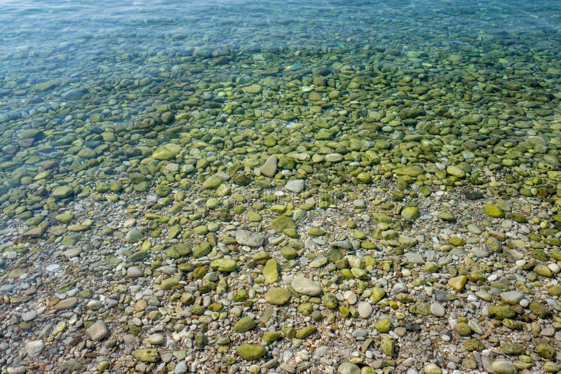 208 Gravel Seabed Stock Photos - Free & Royalty-Free Stock Photos from ...