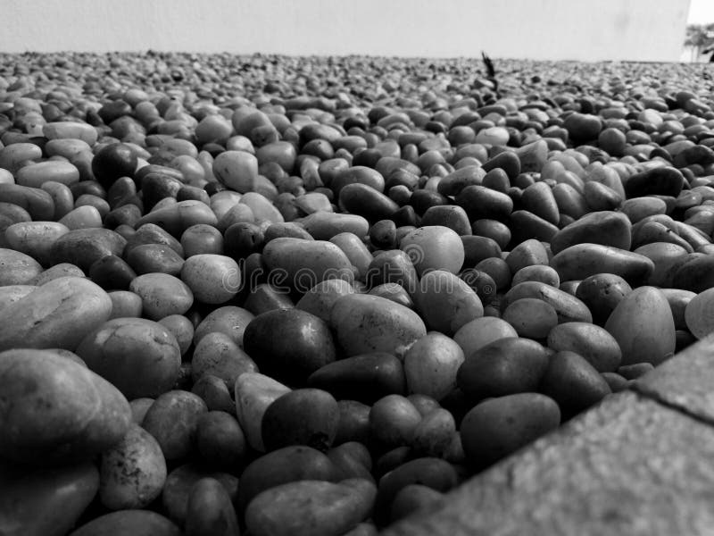 Pebbles stock photo. Image of view, pebbles, monochrome - 118458520