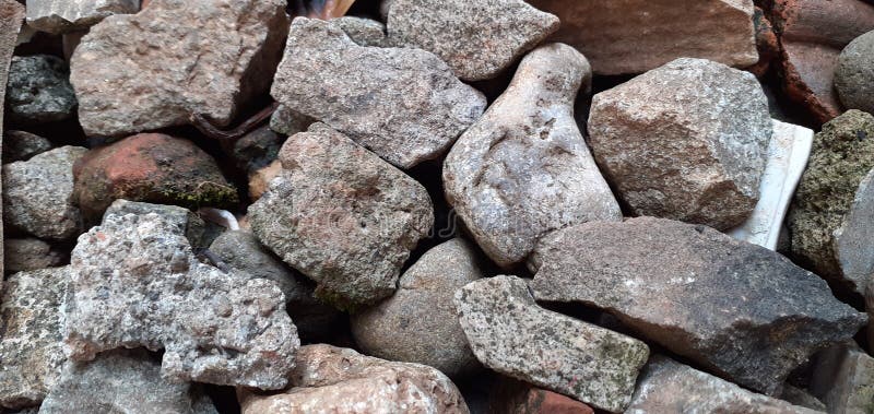 The Pebbles in the Yard Look Like Rocks Stock Image - Image of rocks ...