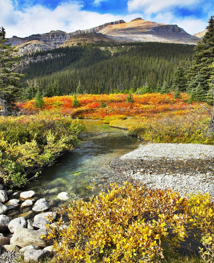 Pebbly shallow. stock image. Image of lake, autumn, reed - 10597877