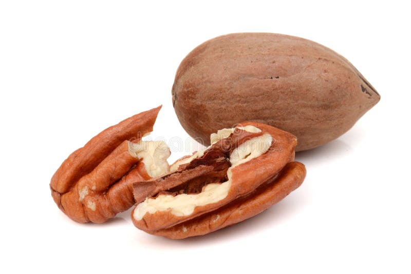 Ripe shelled pecan nuts. stock image. Image of saines - 140175413