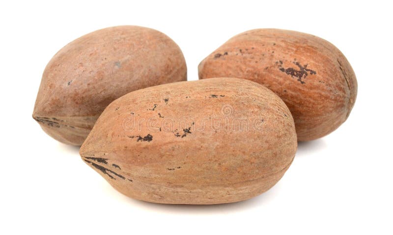 366 Arabic Posters Stock Photos - Free & Royalty-Free Stock Photos from ...