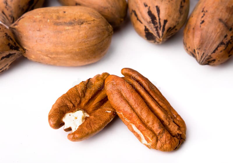 Pecan Halves and in the Shell Stock Image - Image of nuts, carya: 4917529