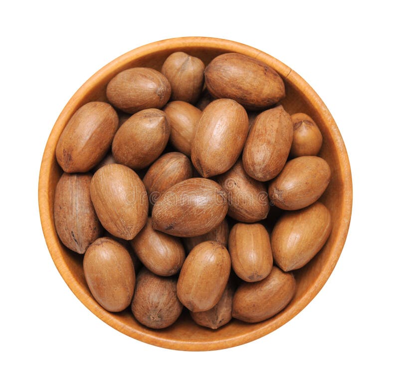 Pecan in hard shell stock image. Image of nutshell, shell - 32391211