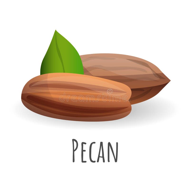 Pecan Cartoon Stock Illustrations – 1,308 Pecan Cartoon Stock ...