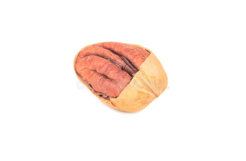 Inshell pecans isolated stock photo. Image of fragment - 250266860