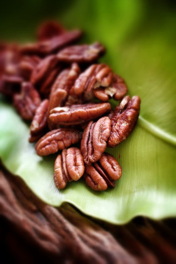 Pecan nut stock photo. Image of antioxidants, nutrition - 33057294