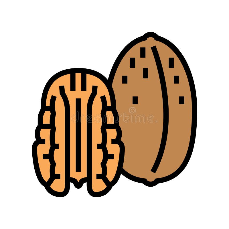 Pecan Nut Color Icon Vector Illustration Stock Vector - Illustration of ...
