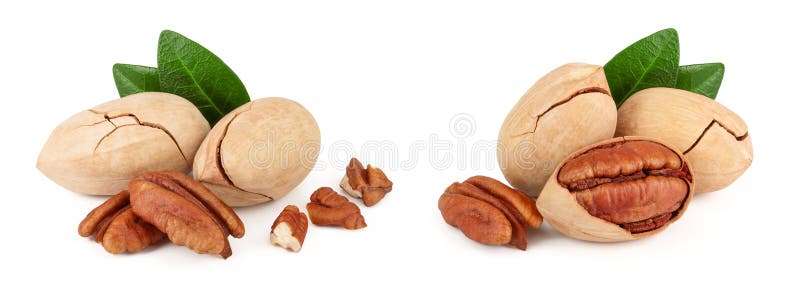Pecan Nut with Green Leaves Isolated on White Background Stock Photo ...