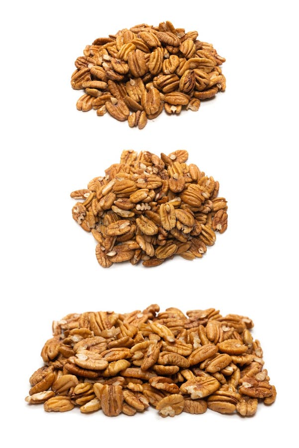Pecan-nut Isolated on White Background Stock Photo - Image of diet ...