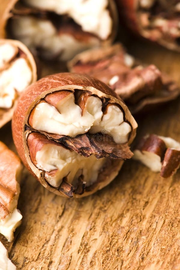 Pecan nuts stock photo. Image of fresh, crunchy, edible - 22607996